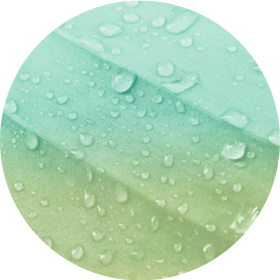 Buy VEEV ONE | Blue Mint Flavour Pods, 2pk | VEEV Canada