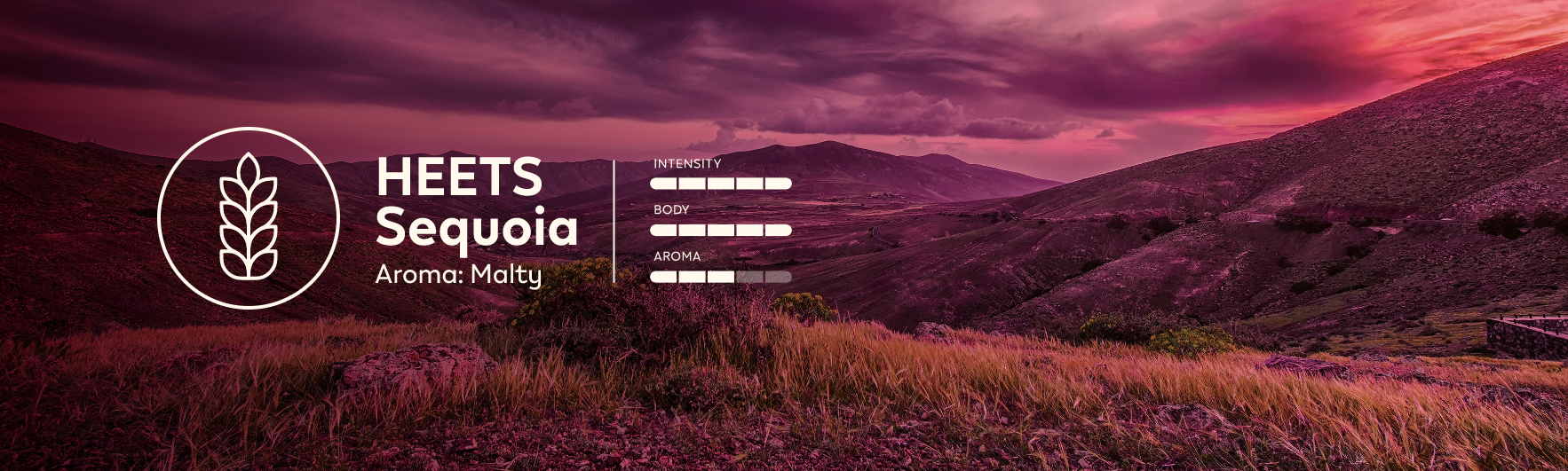 New HEETS Sequoia: Our Most Intense Heated Tobacco Flavour Yet