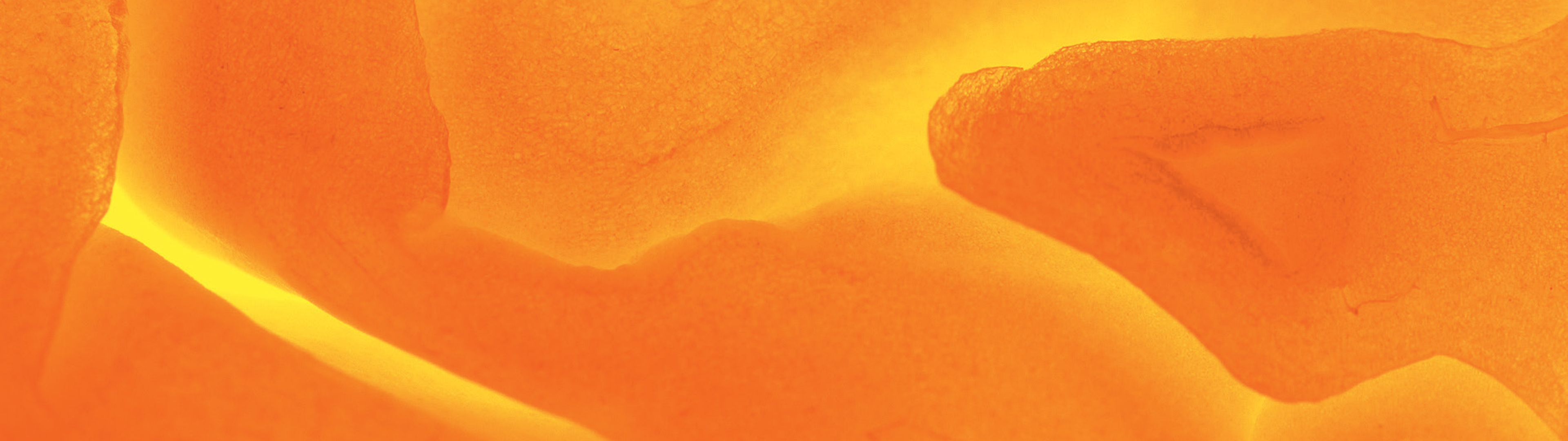 What Are the Ingredients in Vapes? | VEEV Canada
